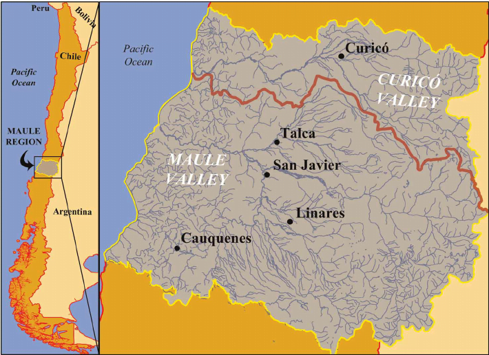 MiRey Wines - Family-owned winery located in Chile in the heart of the ...